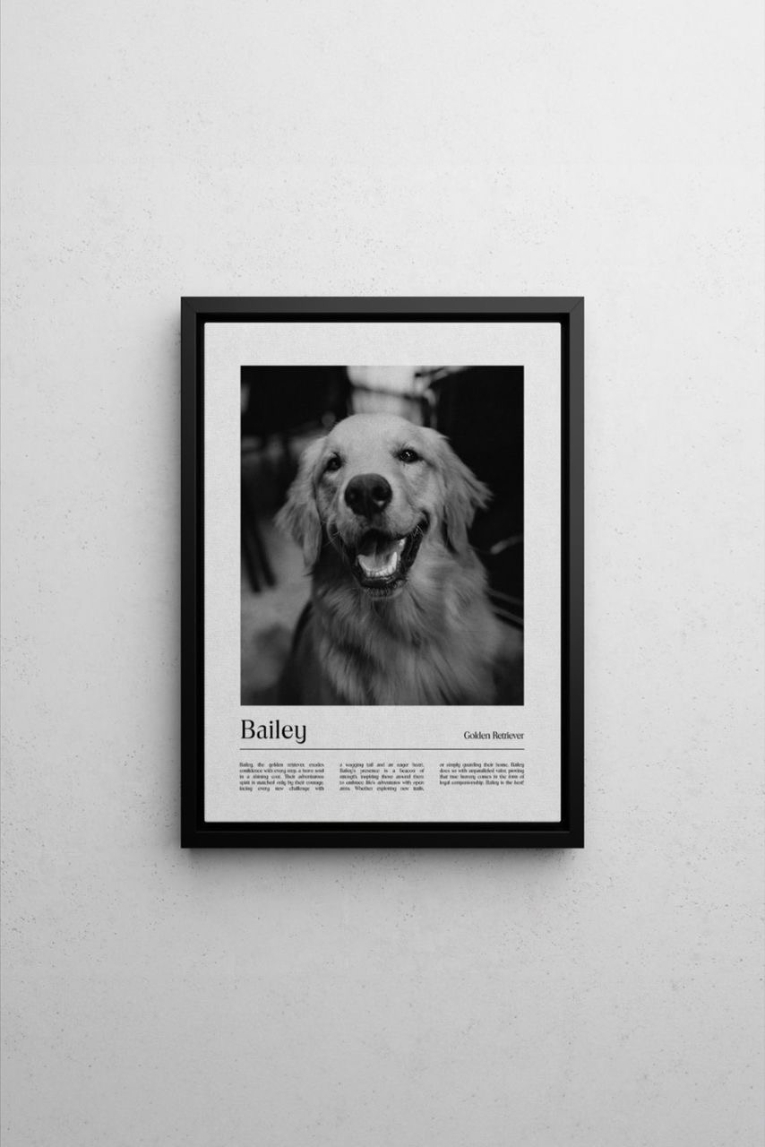 Snap4Canvas - Custom Canvas Prints | Free Shipping in USA